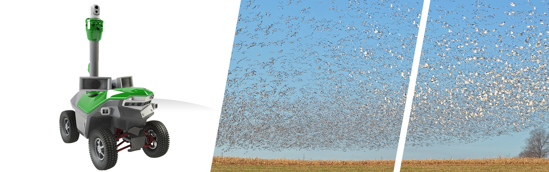 Bird Control Mobile Robot for Agriculture plants, Airports, Industrial ...