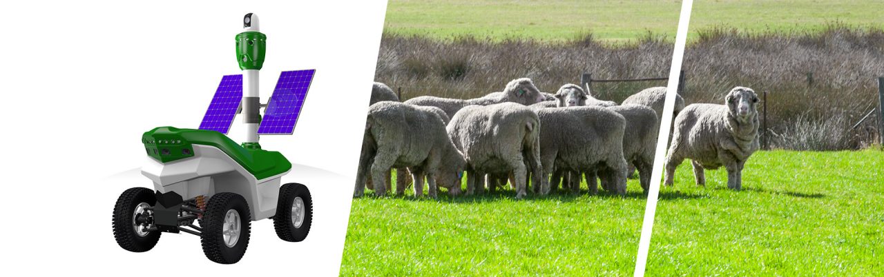 Security Surveillance Robot | Wireless video cameras on solar powered ...